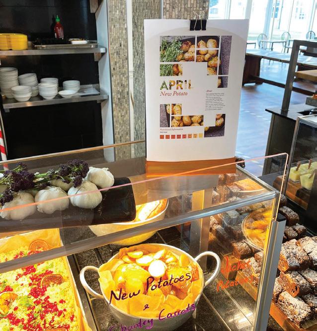 Shebbear College International Summer School by Shebbear College - Issuu