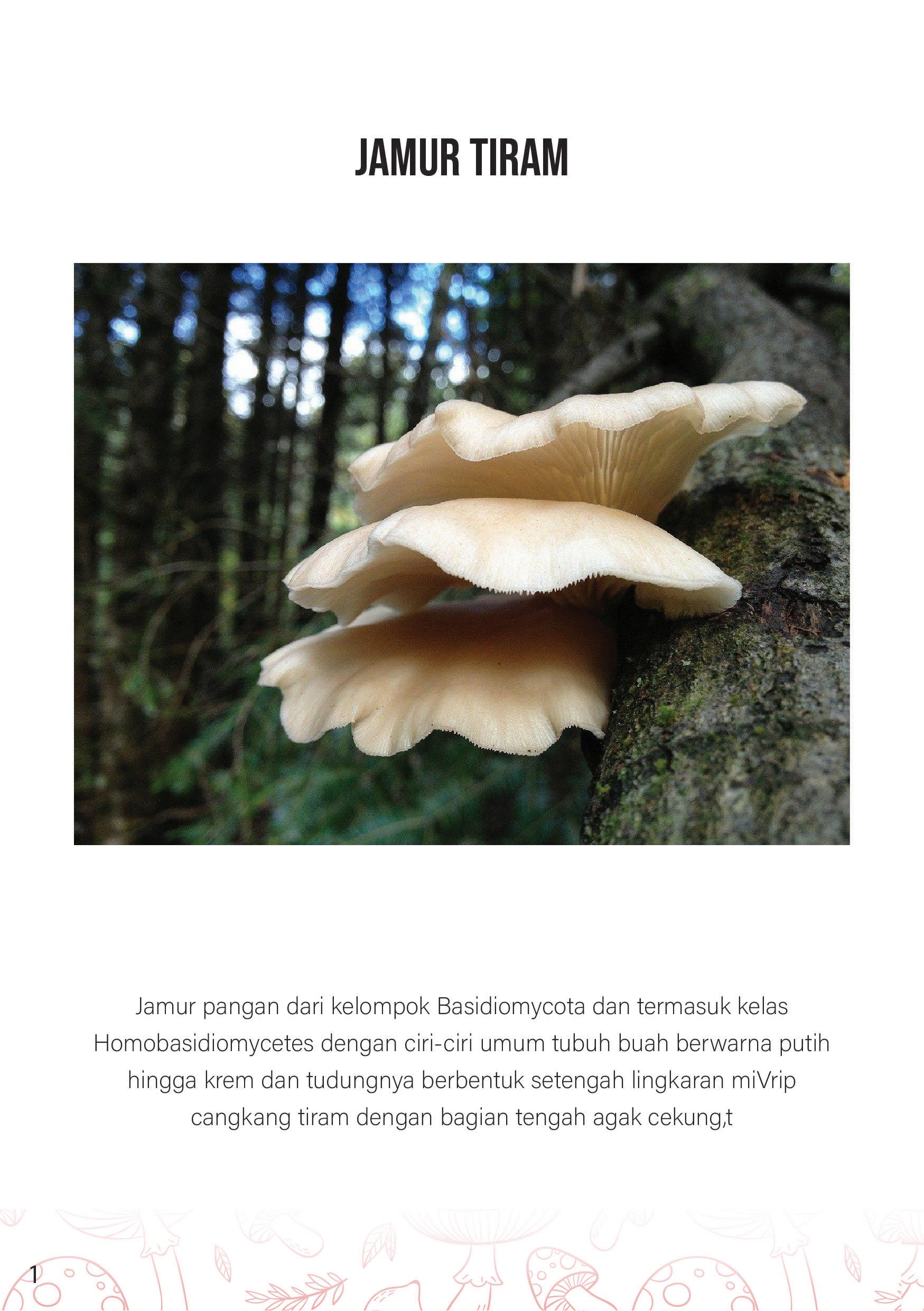 MUSHROOM ENSIKLOPEDIA JAMUR by Rafly Nur fadilah - Issuu