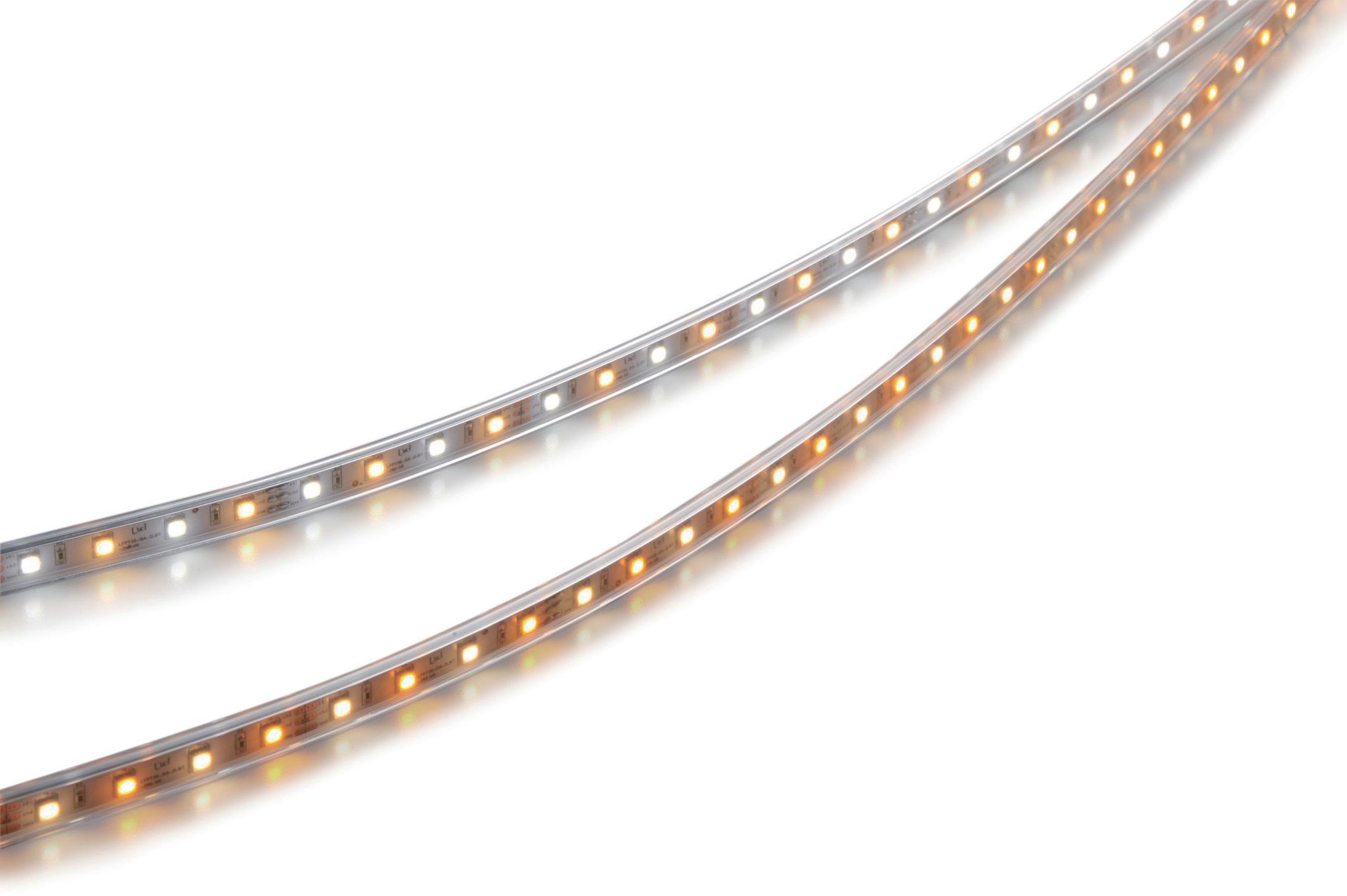 Luci LED Lighting Catalog 2023 by Luci Pte. Ltd. official - Issuu