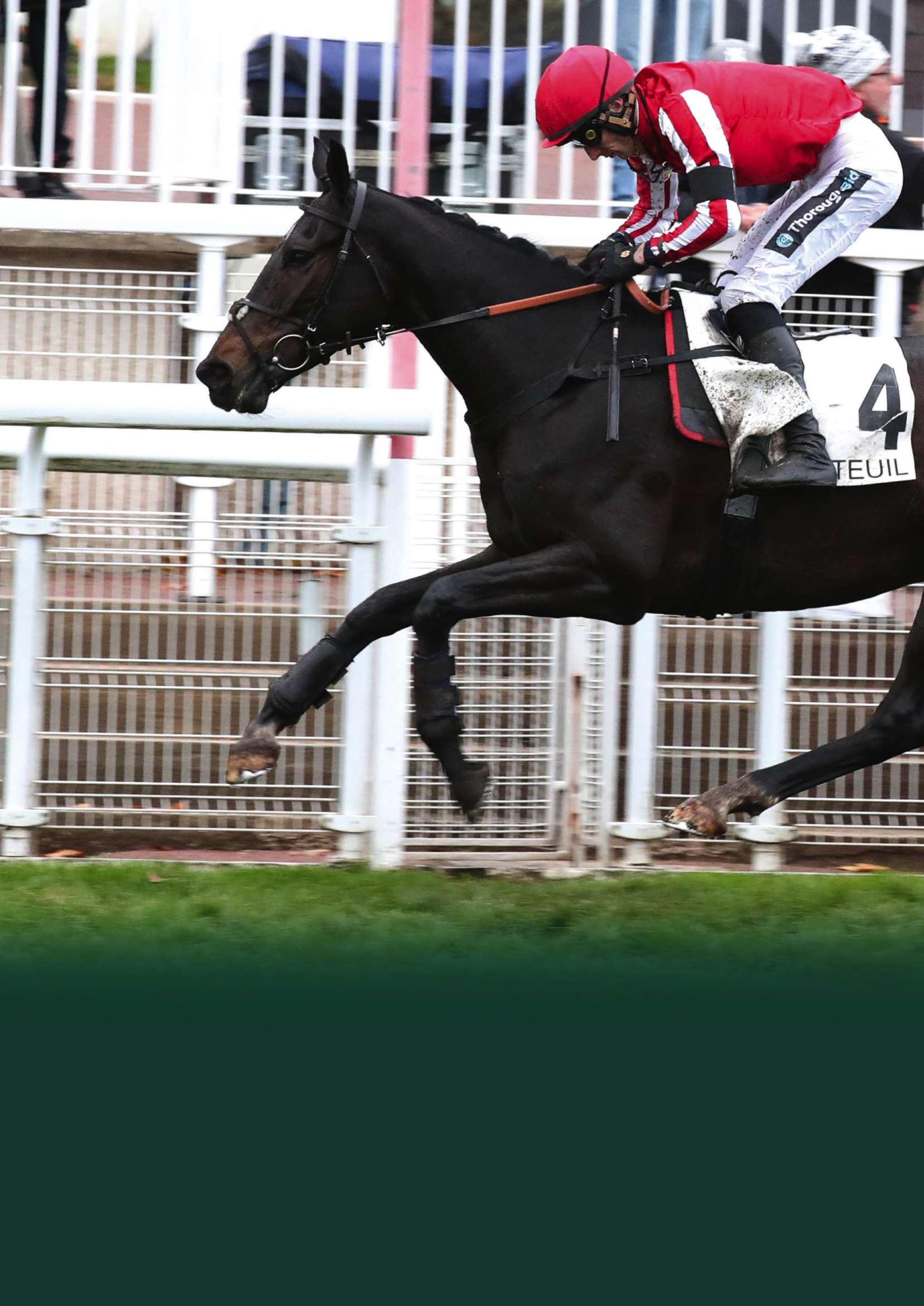 Racing Calendar - 2nd Jan-15th Jan - Number 25 by Weatherbys - Issuu