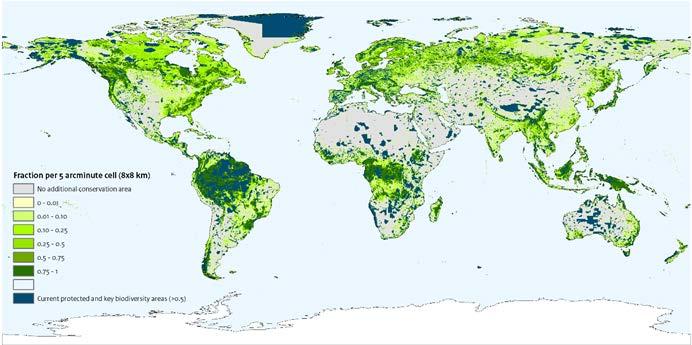 Global biodiversity scenarios: what do they tell us for Biodiversity ...