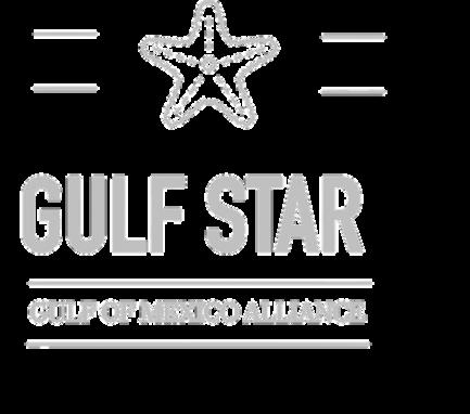2021 Gulf Star Report by Gulf of Mexico Alliance - Issuu