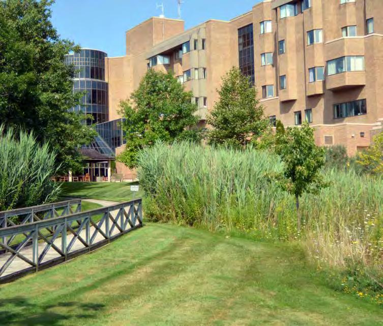 Patient, Resident and Family Caregiver Handbook 2022 - Parkwood ...