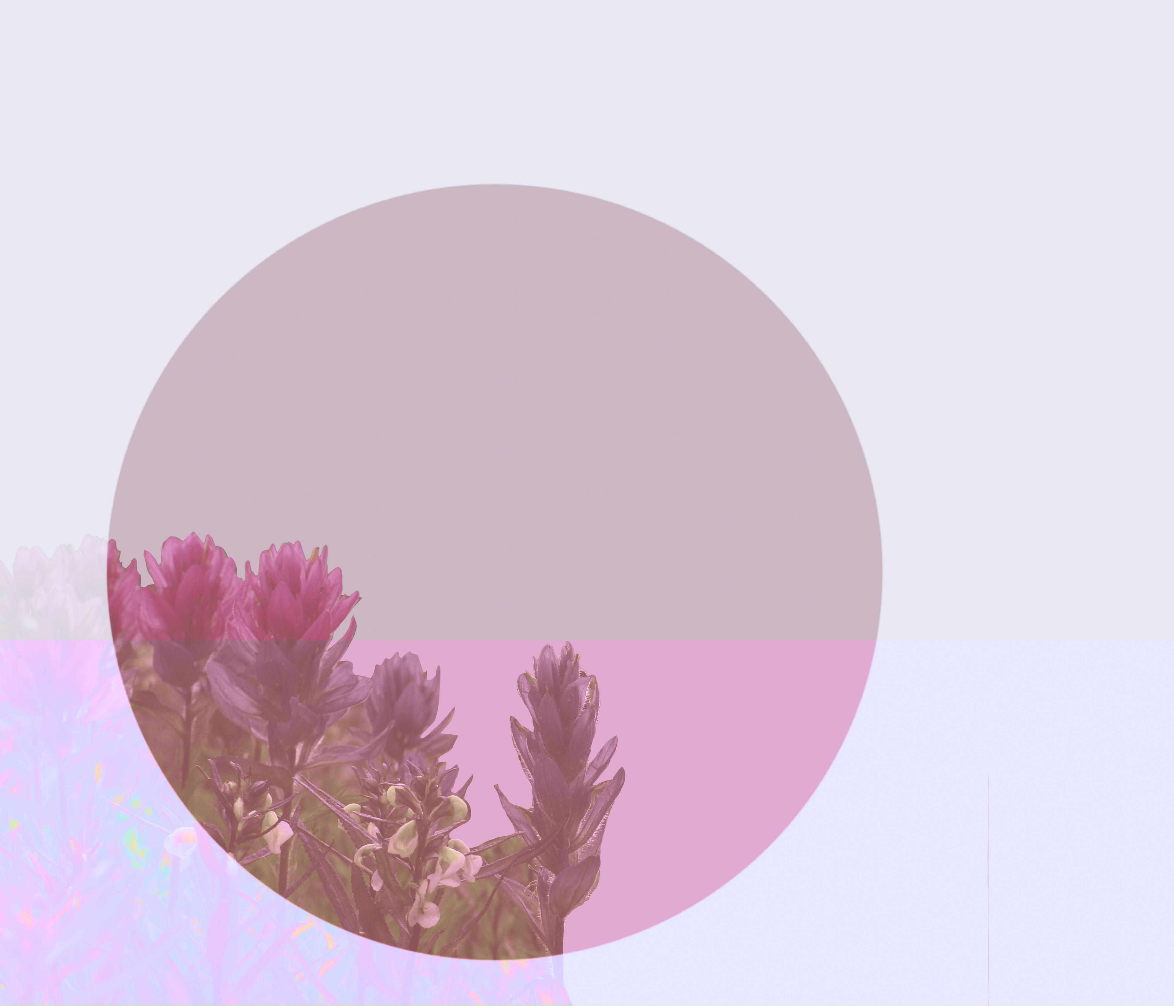 Weed Twitter Headers