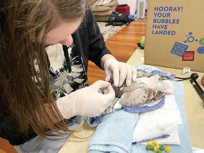 IB CAS (Creativity Activity Service - Issuu