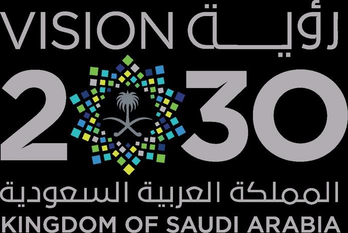 Saudi Vision 2030 A Grand Growth Plan For The Kingdom By Desertcart