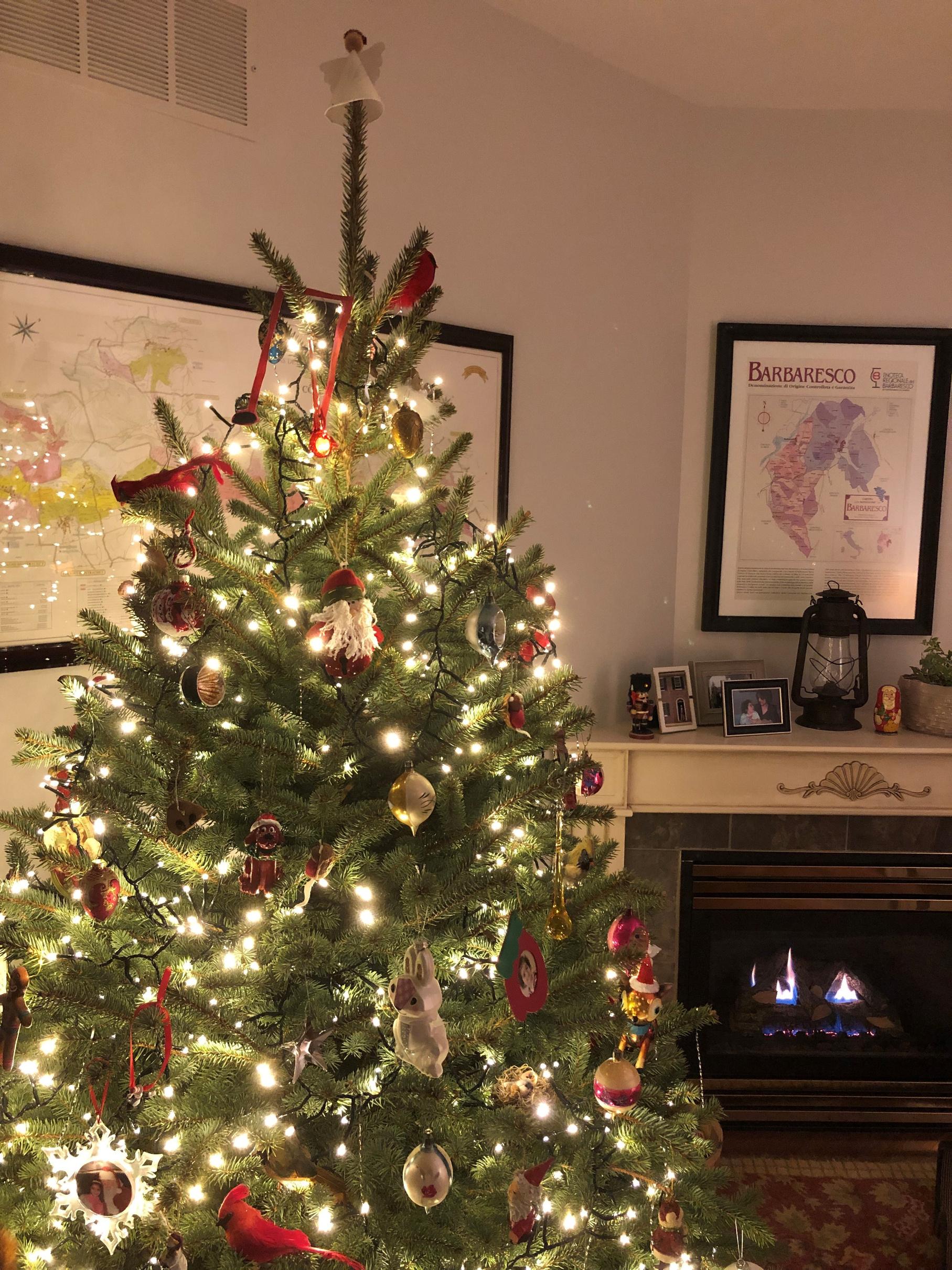 Family Christmas at Spry Family Christmas Tree Farm 2022 Thank You by ...