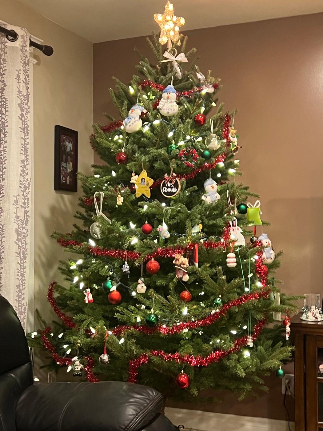 Family Christmas at Spry Family Christmas Tree Farm 2022 Thank You by ...