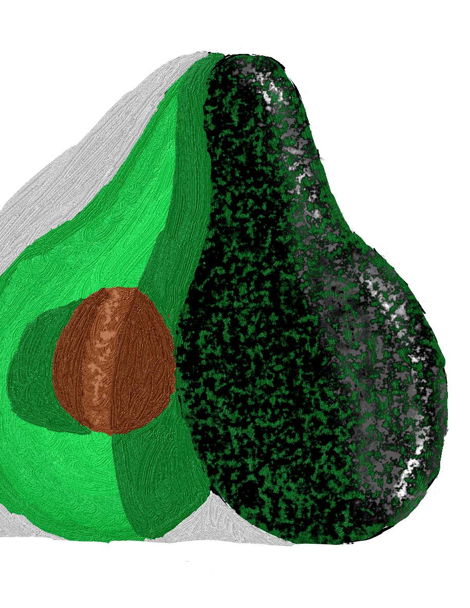 The Chosen Avocado by jorgeag829 - Issuu