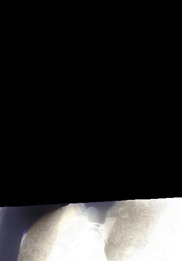 OCPS Pocket Guide 2022-23 by Orange County Public Schools - Issuu