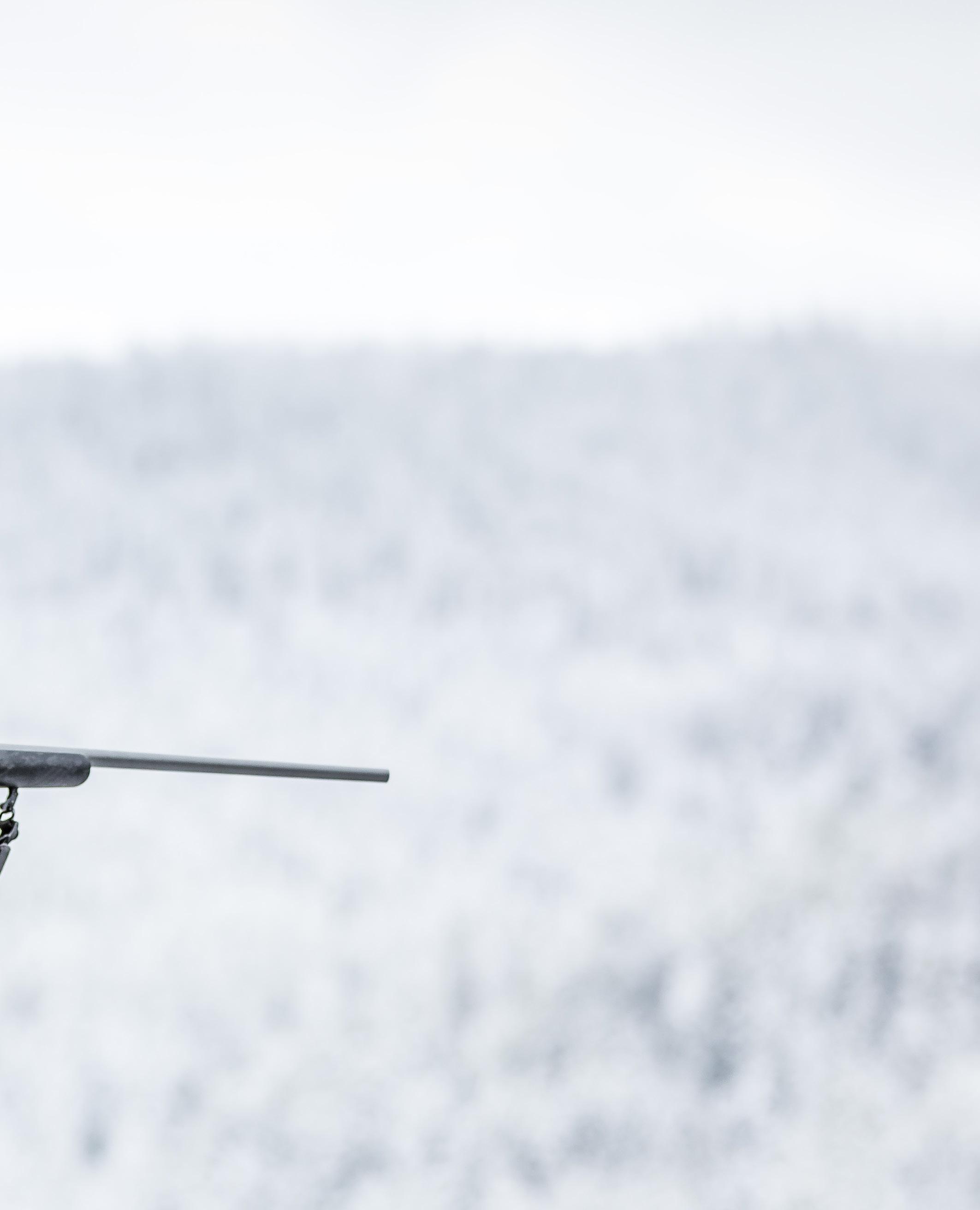 ZEISS Hunting and Shooting Catalog 2023 by ZEISS-COP-NA - Issuu