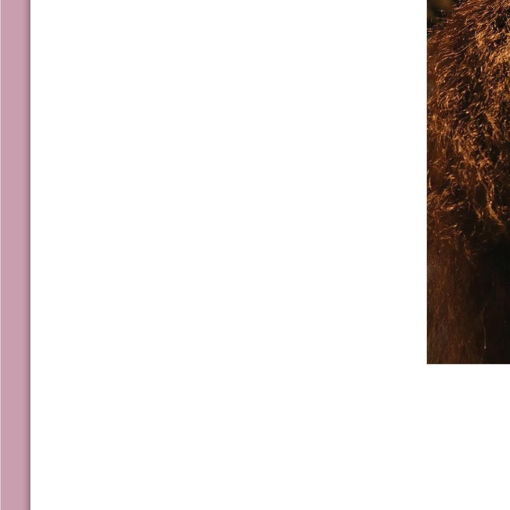 G Sai Harsha Nandini | Architecture Portfolio | 2019-22 | SPA Bhopal by ...