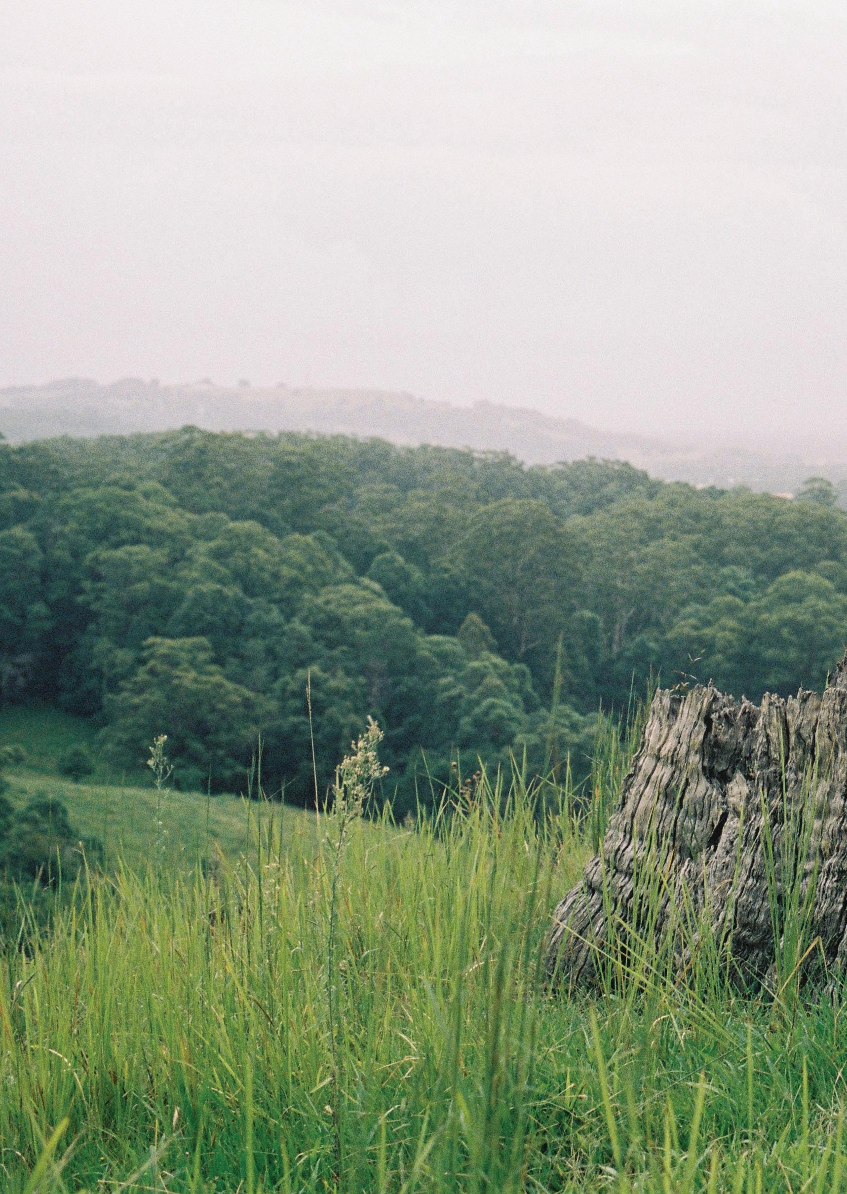 2022 Annual Report - NRCG & Ignite Studios by nrcgballina - Issuu