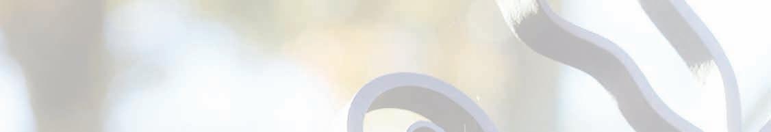 MSW Brochure by Rutgers SSW - Issuu