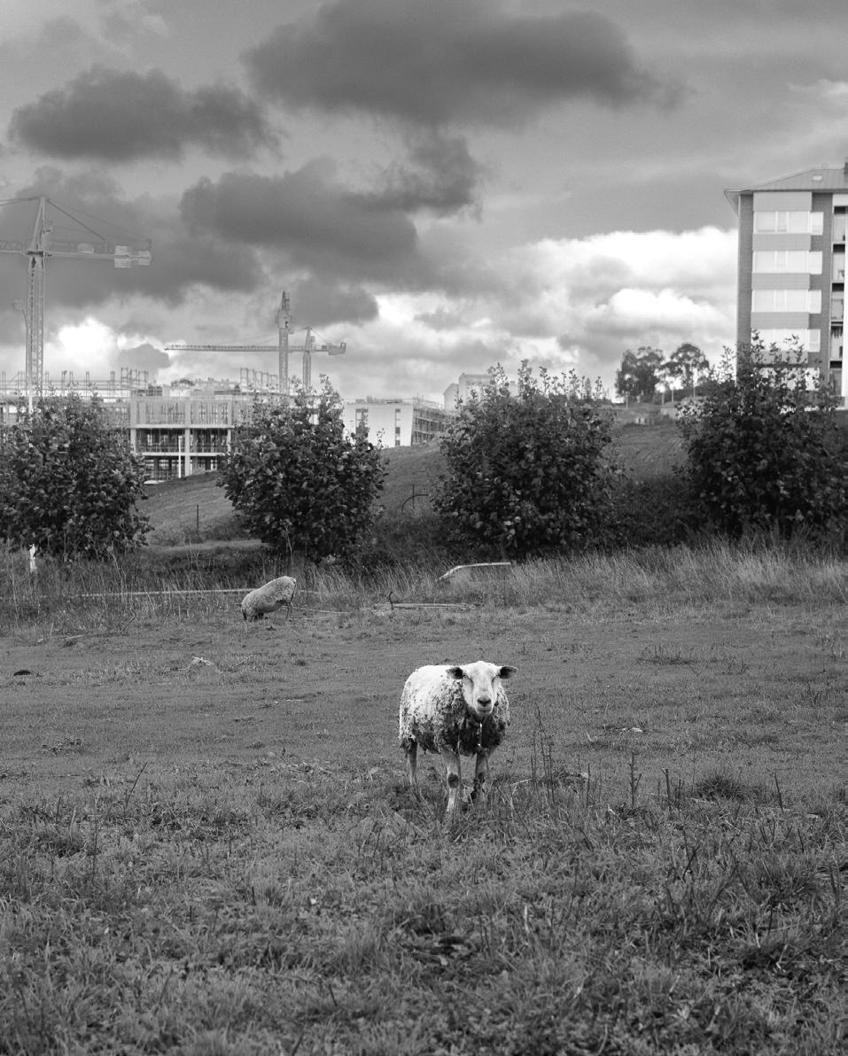 CAMINAR LOS BORDES by paula.fuste - Issuu