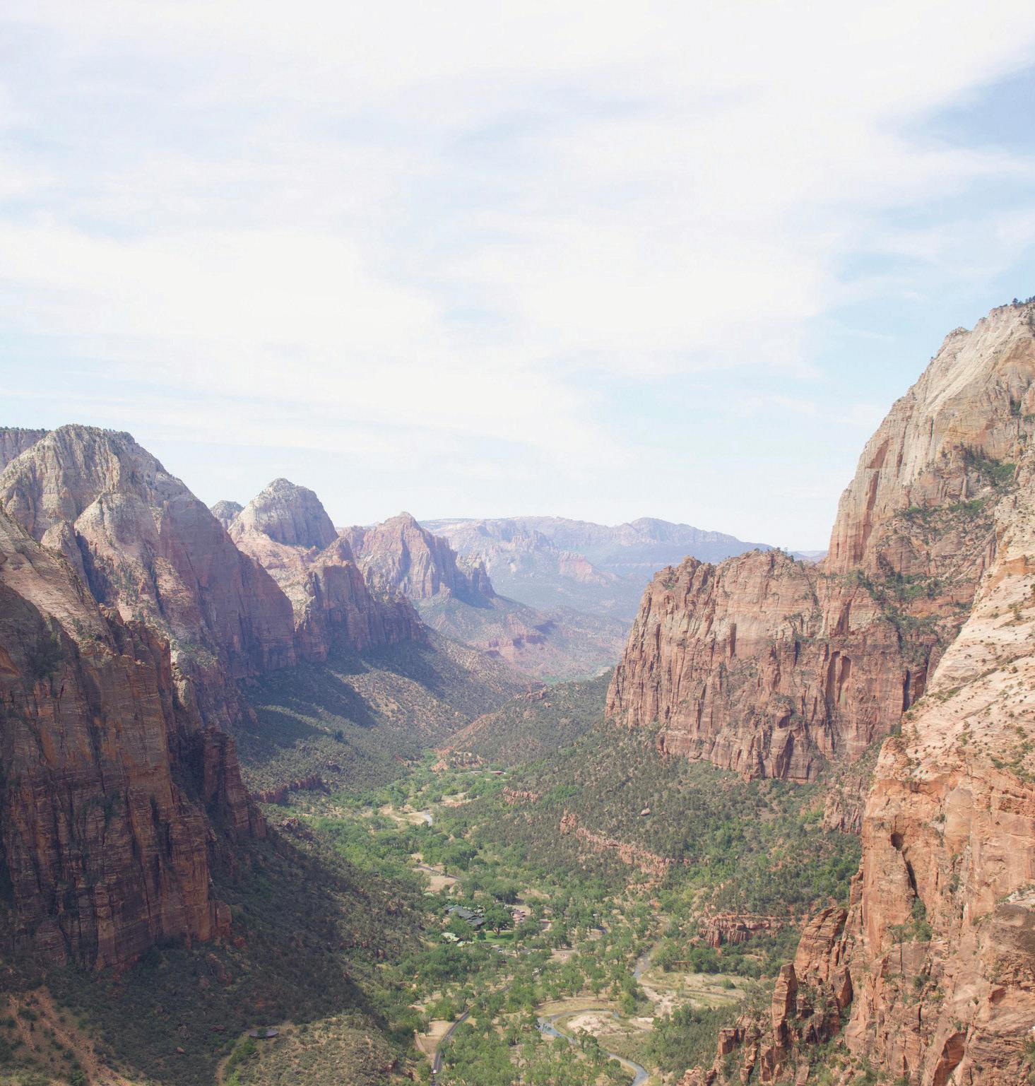 NPS Junior TPSB by Emily Miller - Issuu