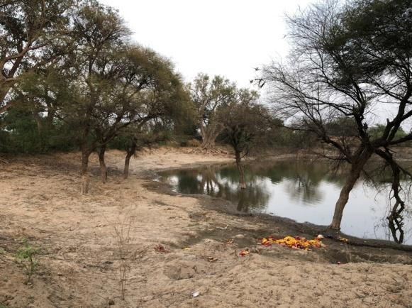 Comparative Studies of the Traditional Water structures between Cities ...