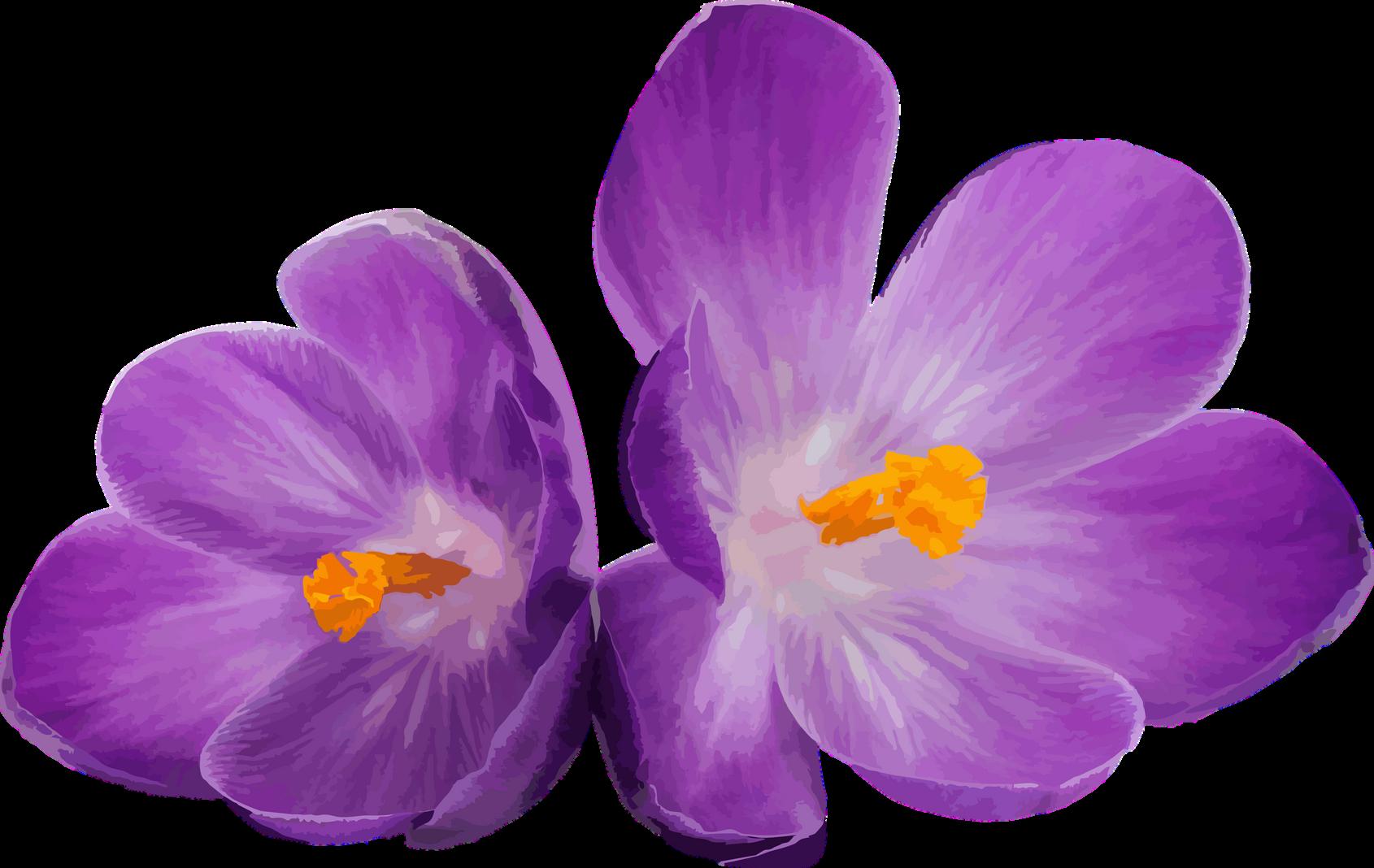 Kyla Newkirk - Jabberwock Brochure by ARILEY - Issuu