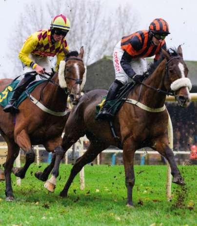 Fakenham Racecard - Sunday 1st January by Weatherbys - Issuu