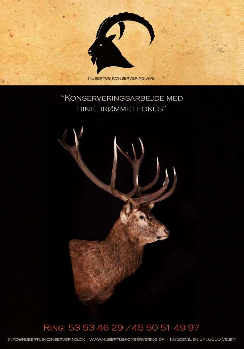 Medlemsbladet 2023 by gestenjagt7 - Issuu