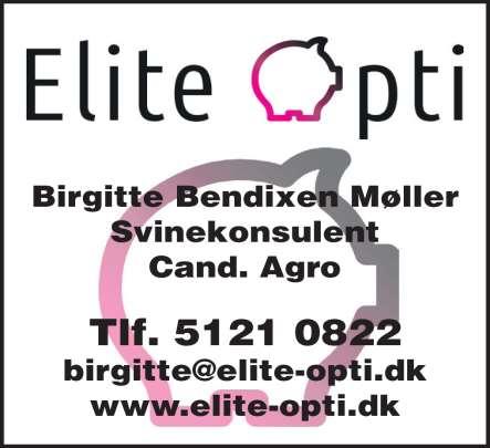 Medlemsbladet 2023 by gestenjagt7 - Issuu