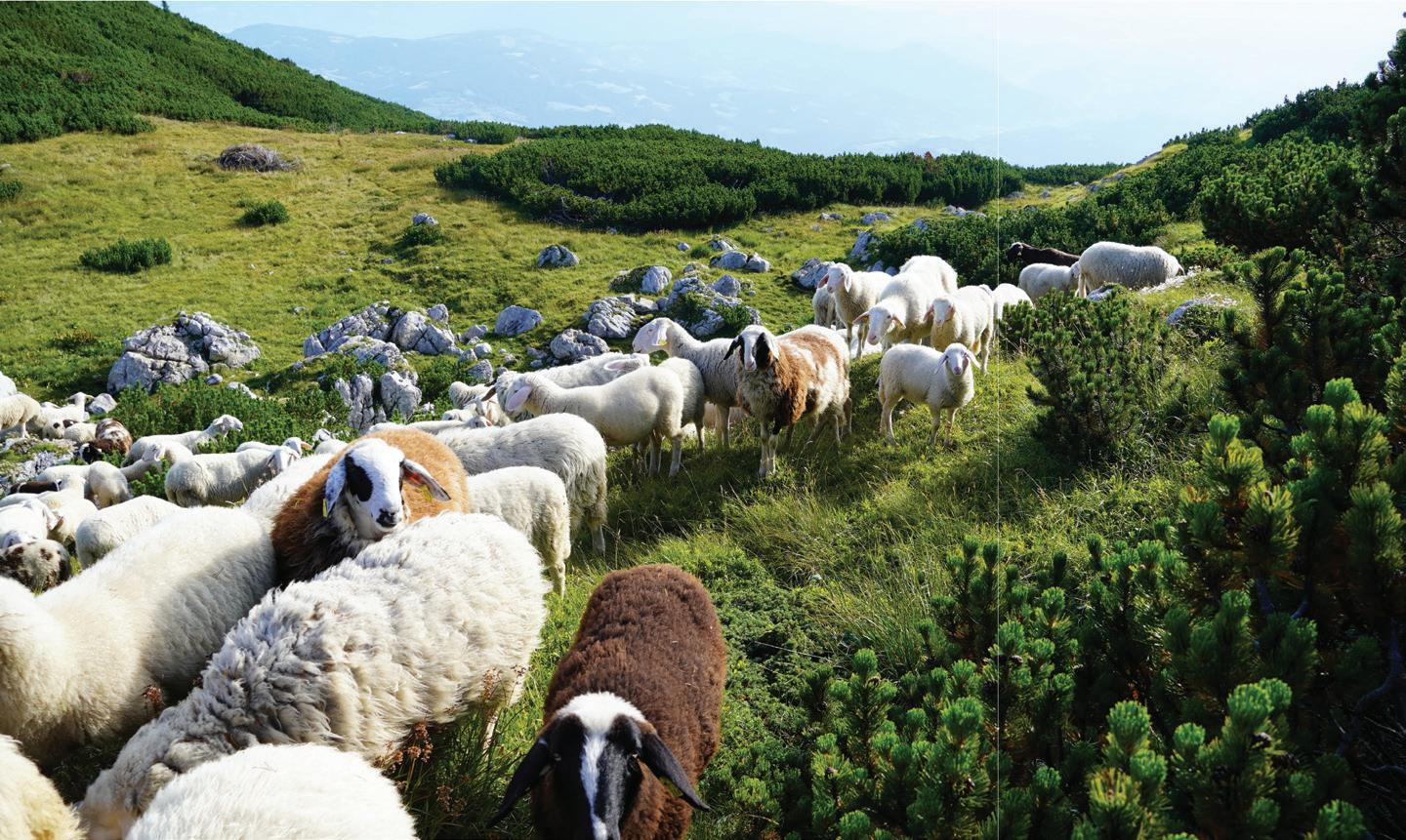 Modularis Brošura 2022 HR by modularis - Issuu