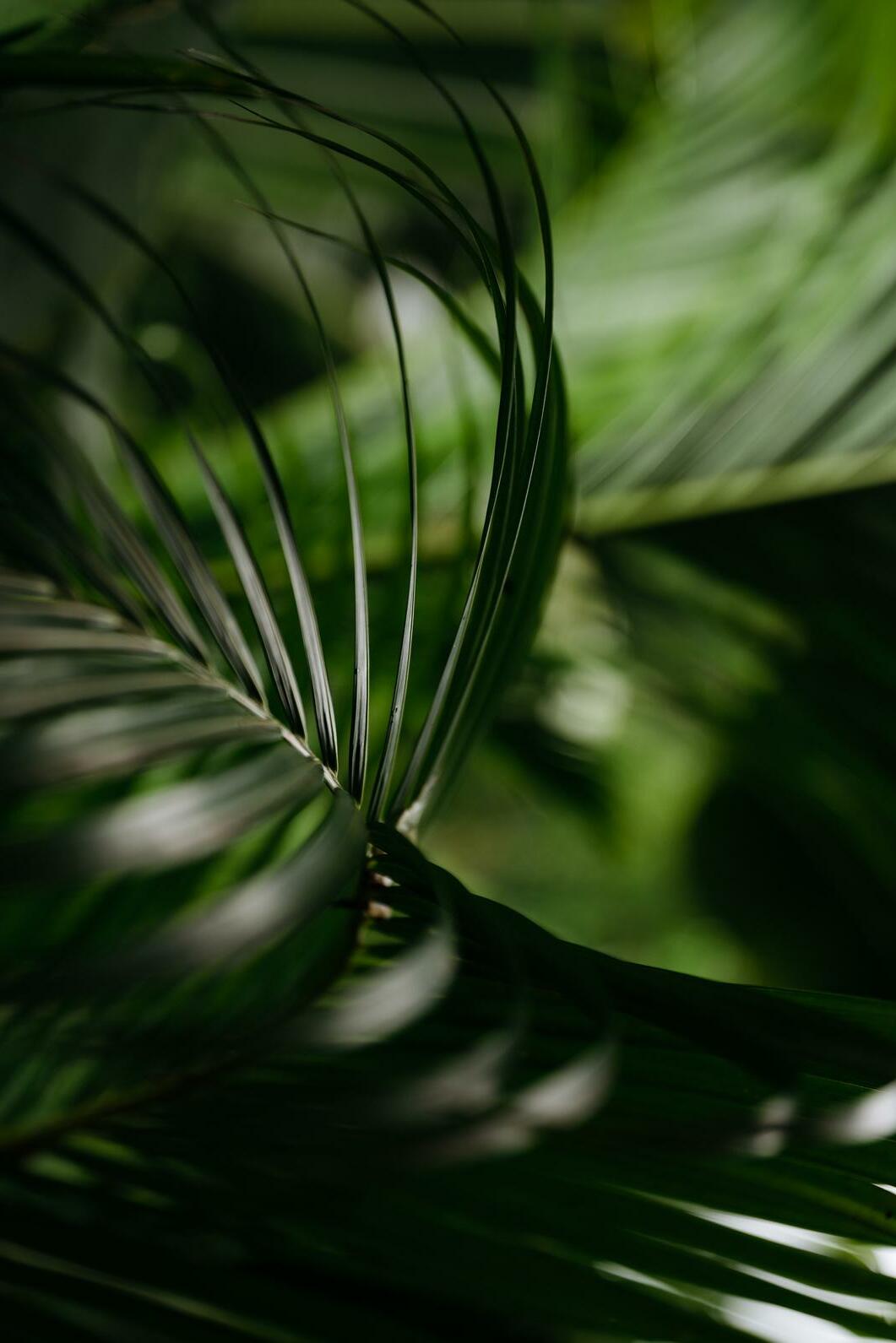 Why Should You Consider Using a Custom LED Screen Display For ...