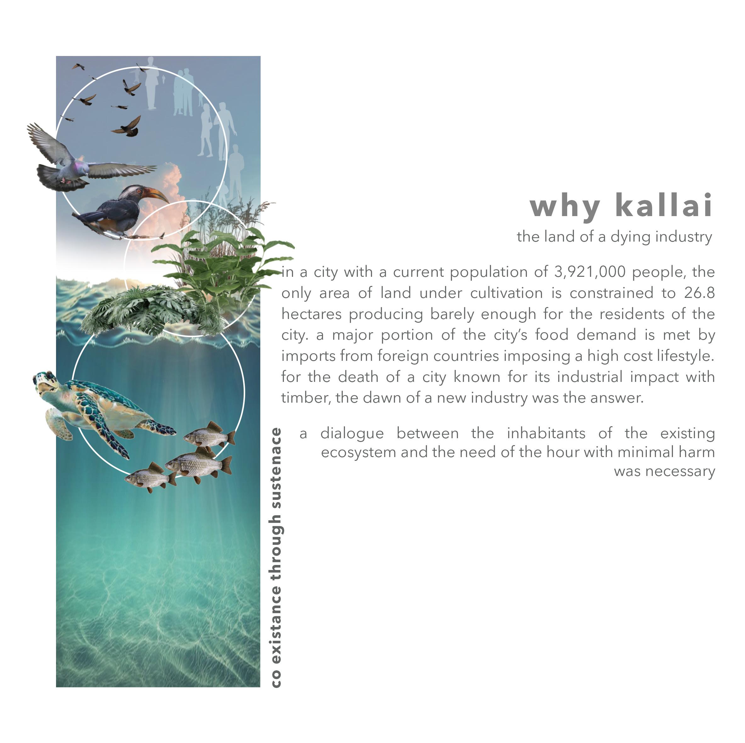 Midhuna Mohan | Undergraduate Portfolio by Midhuna Mohan - Issuu