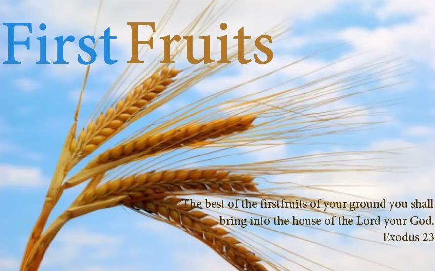 First Fruit Offering 2023 EDTSBC By Bishop Sheldon Bernard Issuu first-fruit-offering-2023-edtsbc-by-bishop-sheldon-bernard-issuu
