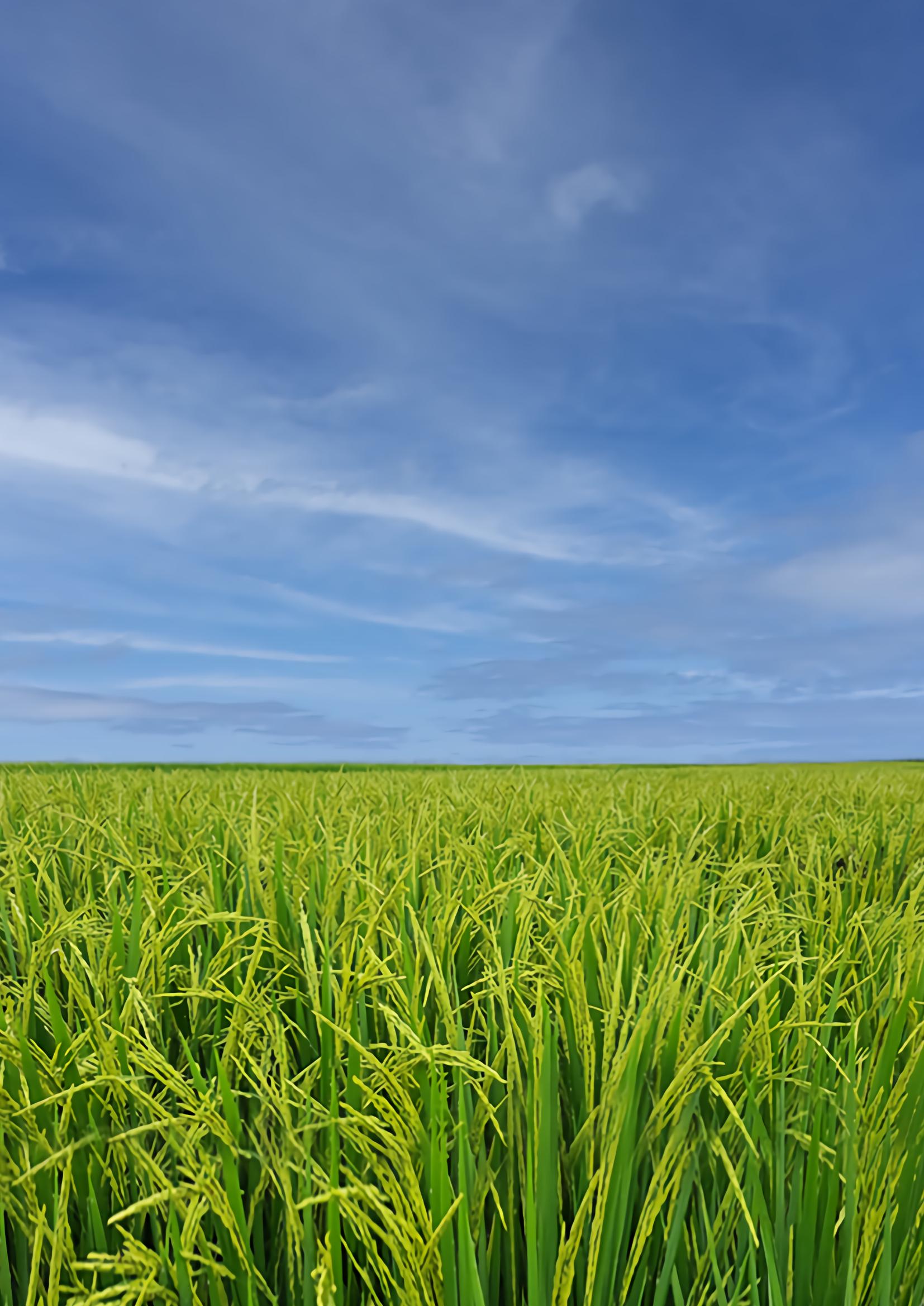 Catálogo de Produtos Amboni Alimentos by amboni.alimentos - Issuu