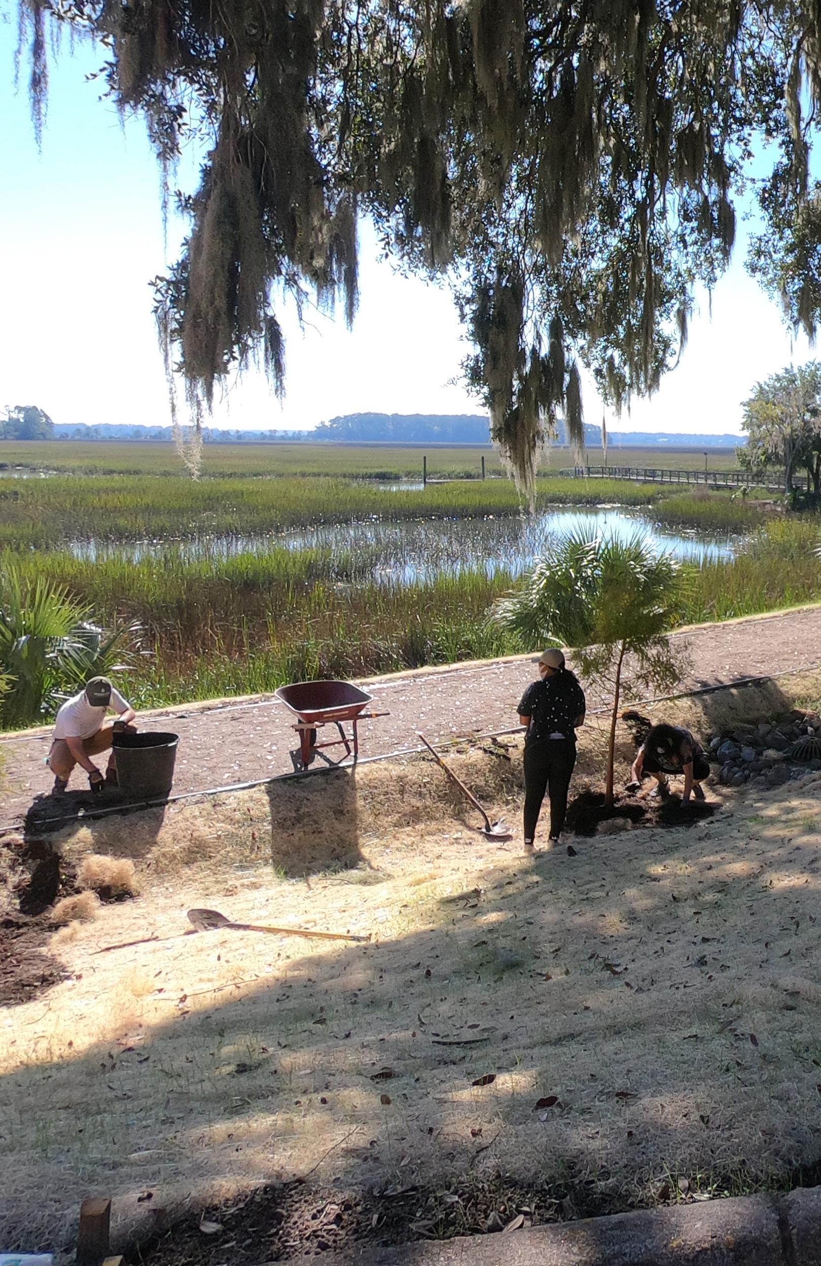 STF Annual Report 2020 by Savannah Tree Foundation - Issuu