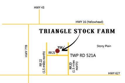 Triangle Stock Farms 12th Annual Bull & Female Sale - Parkland County ...