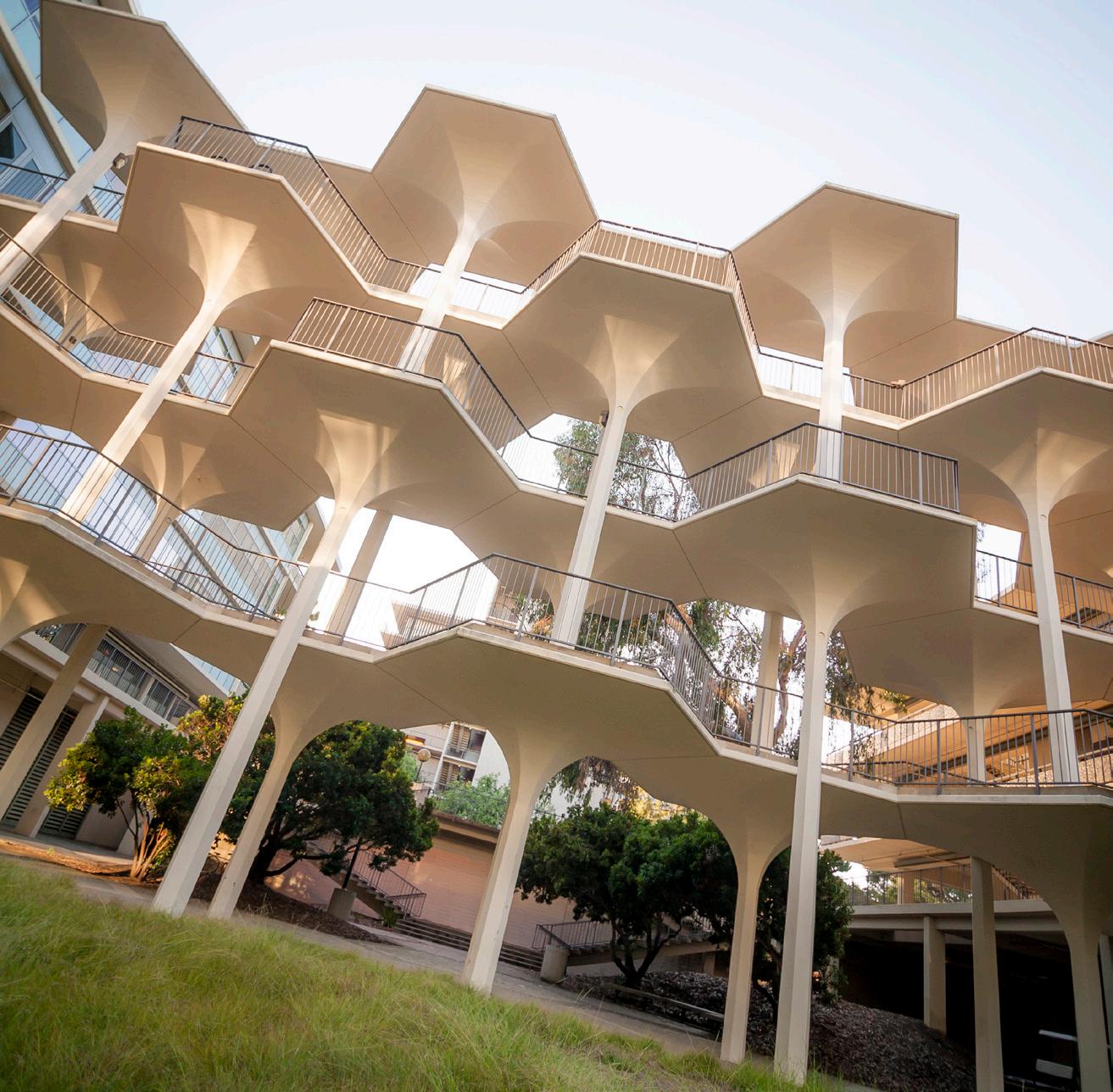 UC San Diego Triton Brochure by UC San Diego Admissions - Issuu