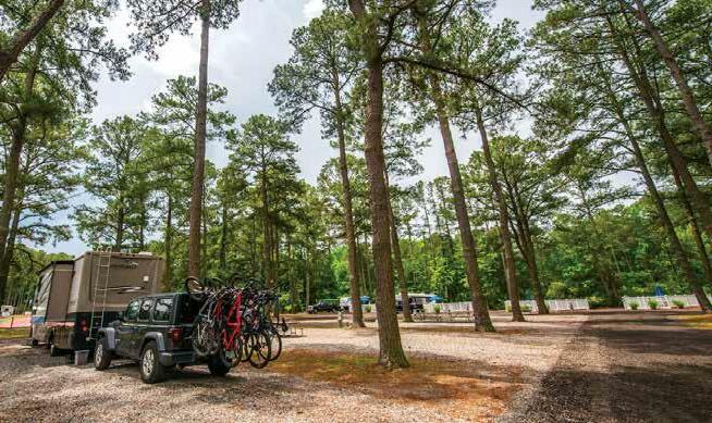 Camp Cardinal RV Resort by AGS/Texas Advertising - Issuu