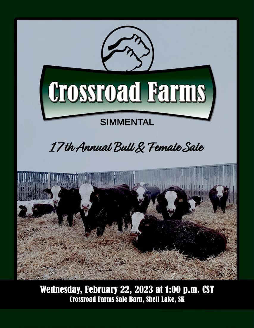 2023 - Crossroad Farms - 17th Annual Bull & Female Sale by Cattlepics ...