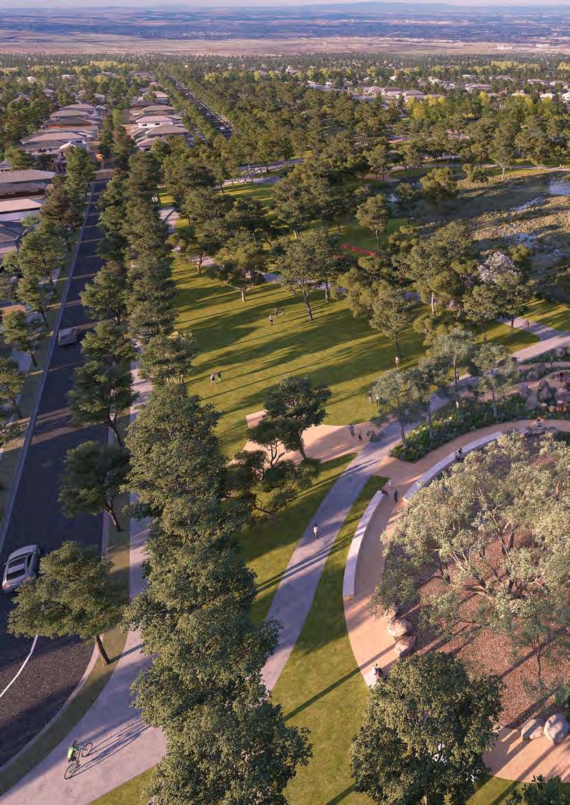 The Grove | Riverside - Brochure by Frasers Property Australia - Issuu