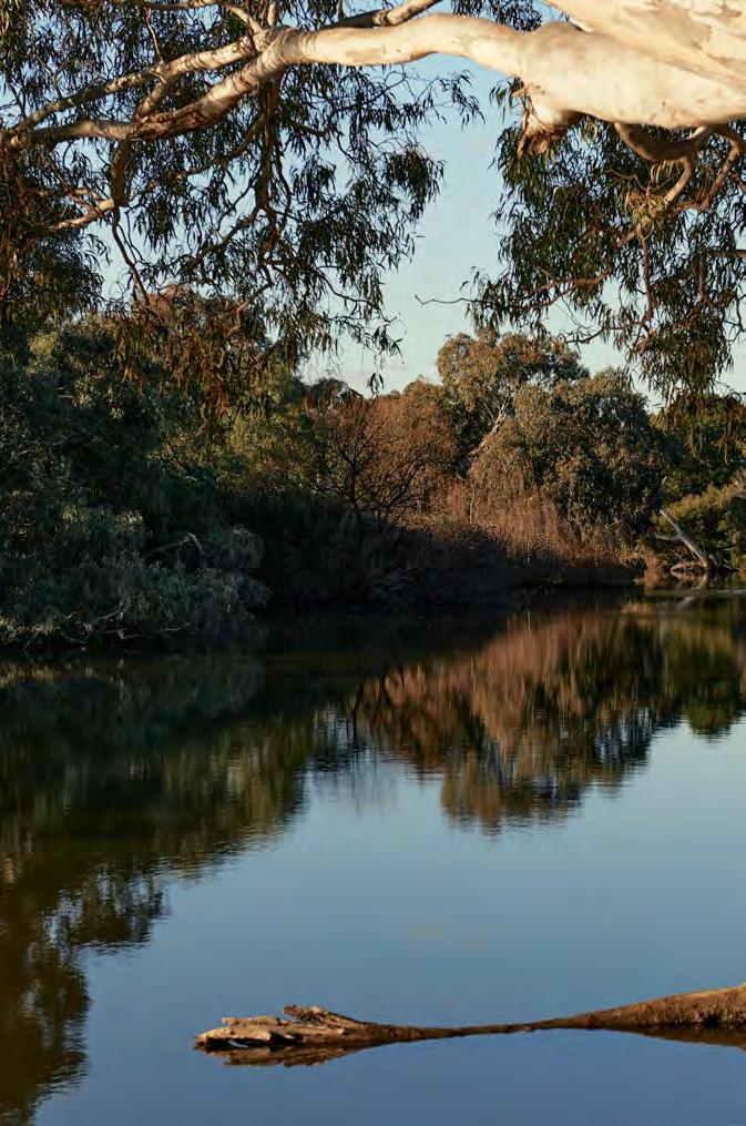 The Grove | Riverside - Brochure by Frasers Property Australia - Issuu