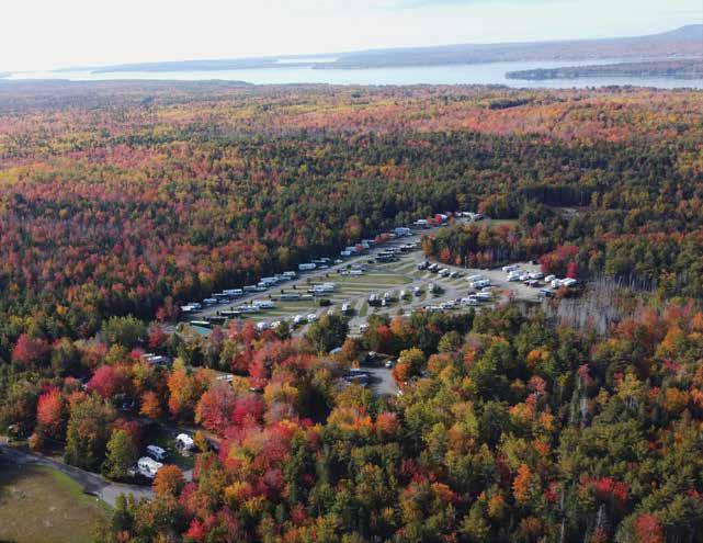 Timberland Acres RV Park by AGS/Texas Advertising - Issuu