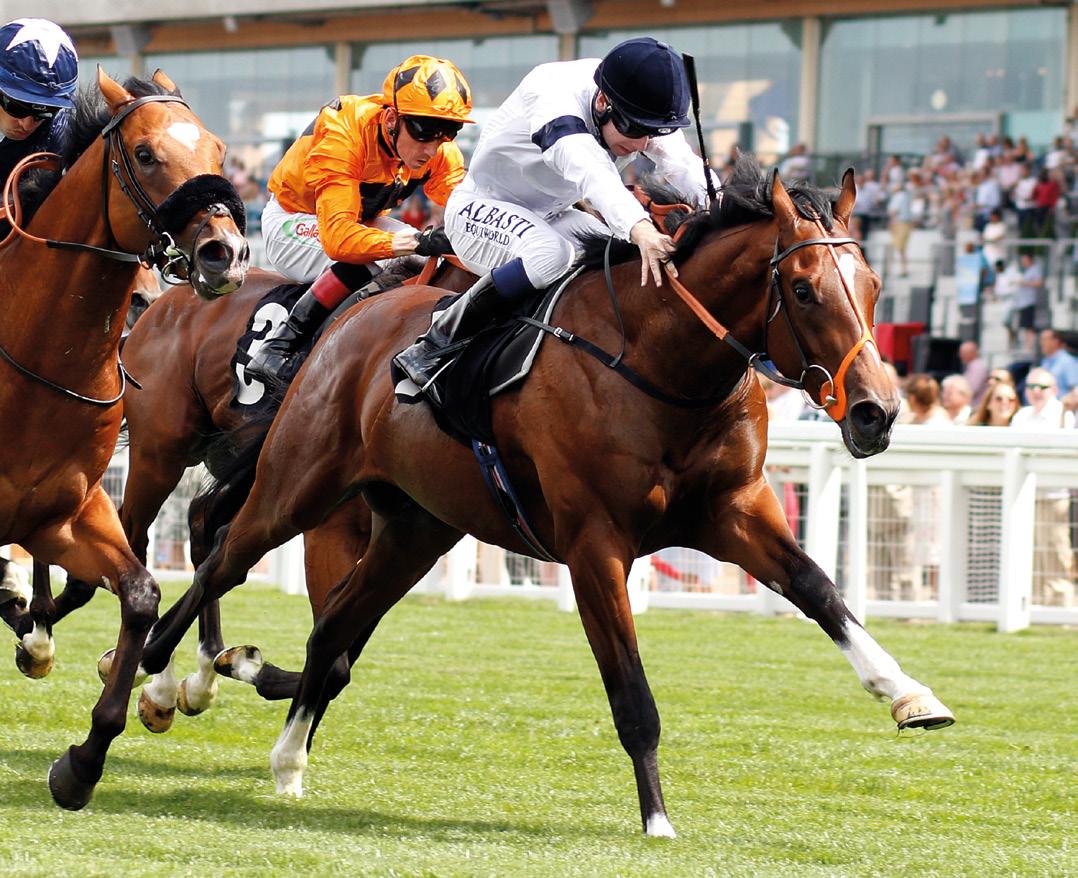 2023 Royal Ascot Racing Club Brochure by Ascot Racecourse - Issuu