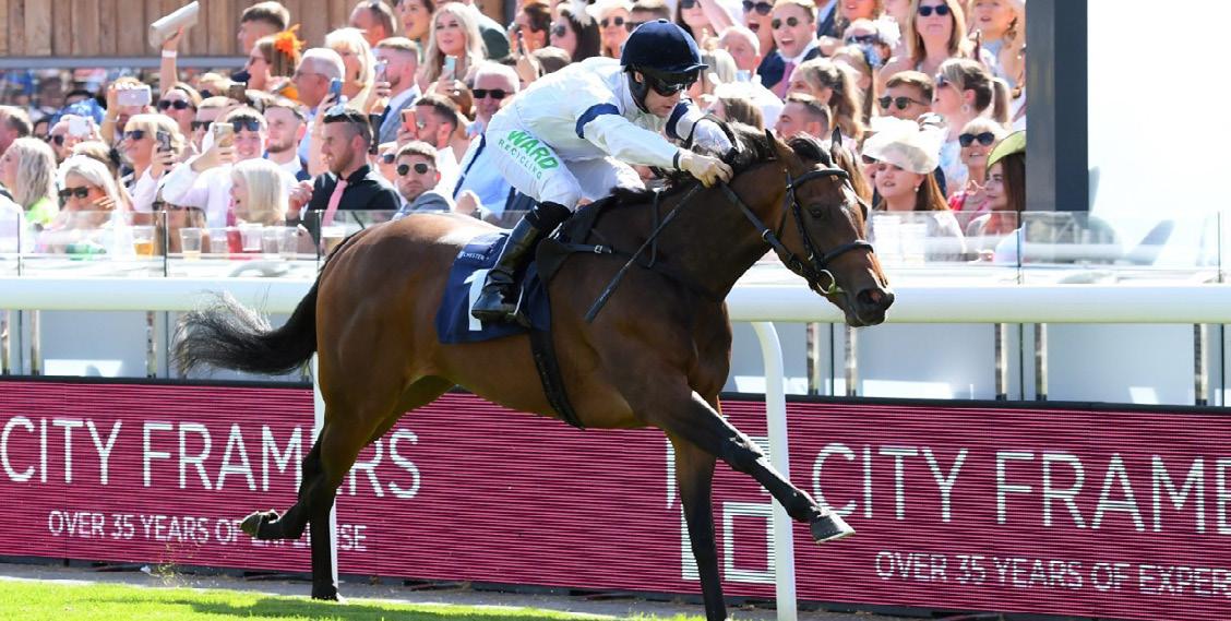 2023 Royal Ascot Racing Club Brochure by Ascot Racecourse - Issuu