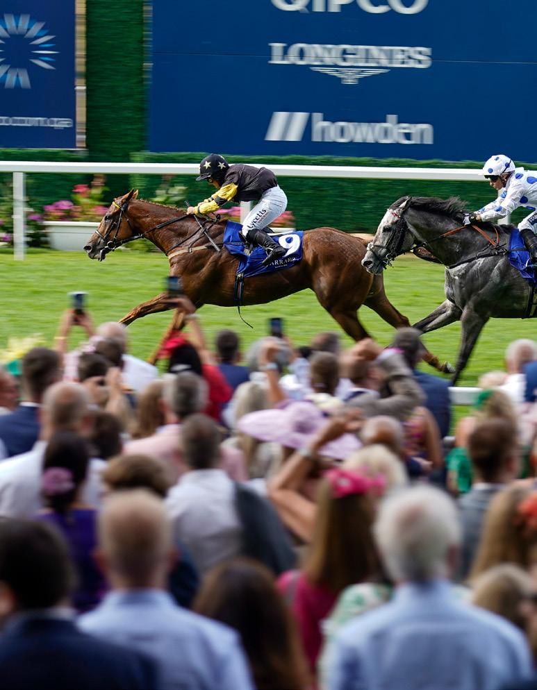 2023 Royal Ascot Racing Club Brochure by Ascot Racecourse - Issuu
