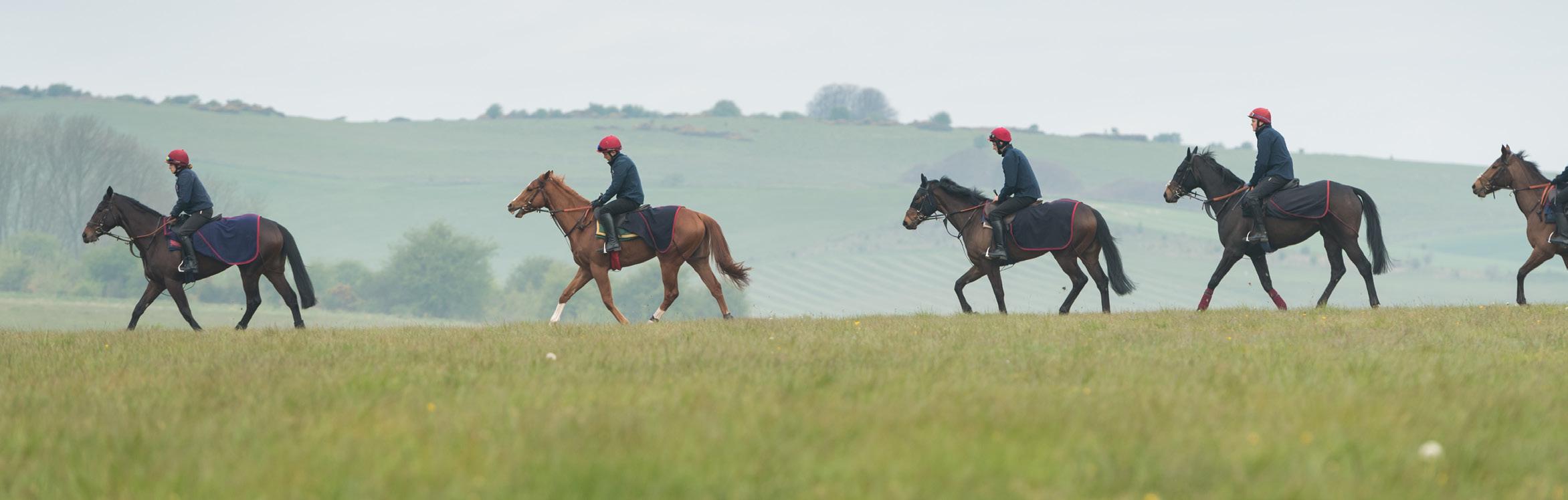 2023 Royal Ascot Racing Club Brochure by Ascot Racecourse - Issuu