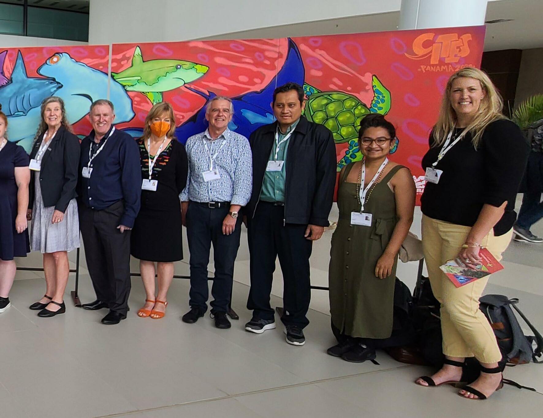 Shark News | Issue 07 | January 2023 by IUCN SSC Shark Specialist Group ...