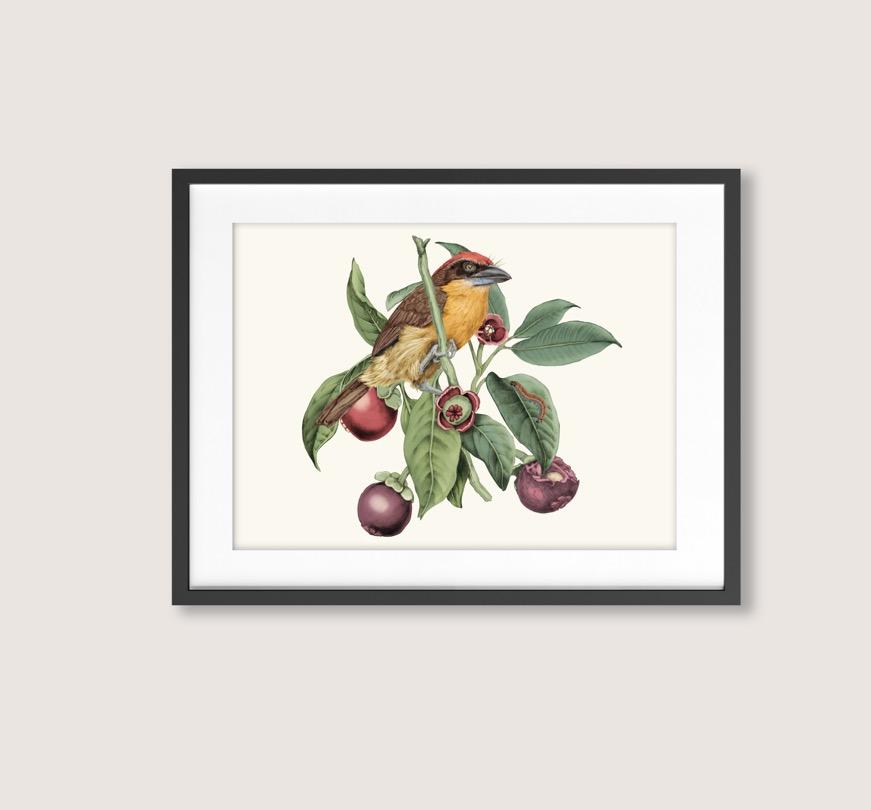 Fancey By Nature Catalogue 2023 by fanceybynature - Issuu