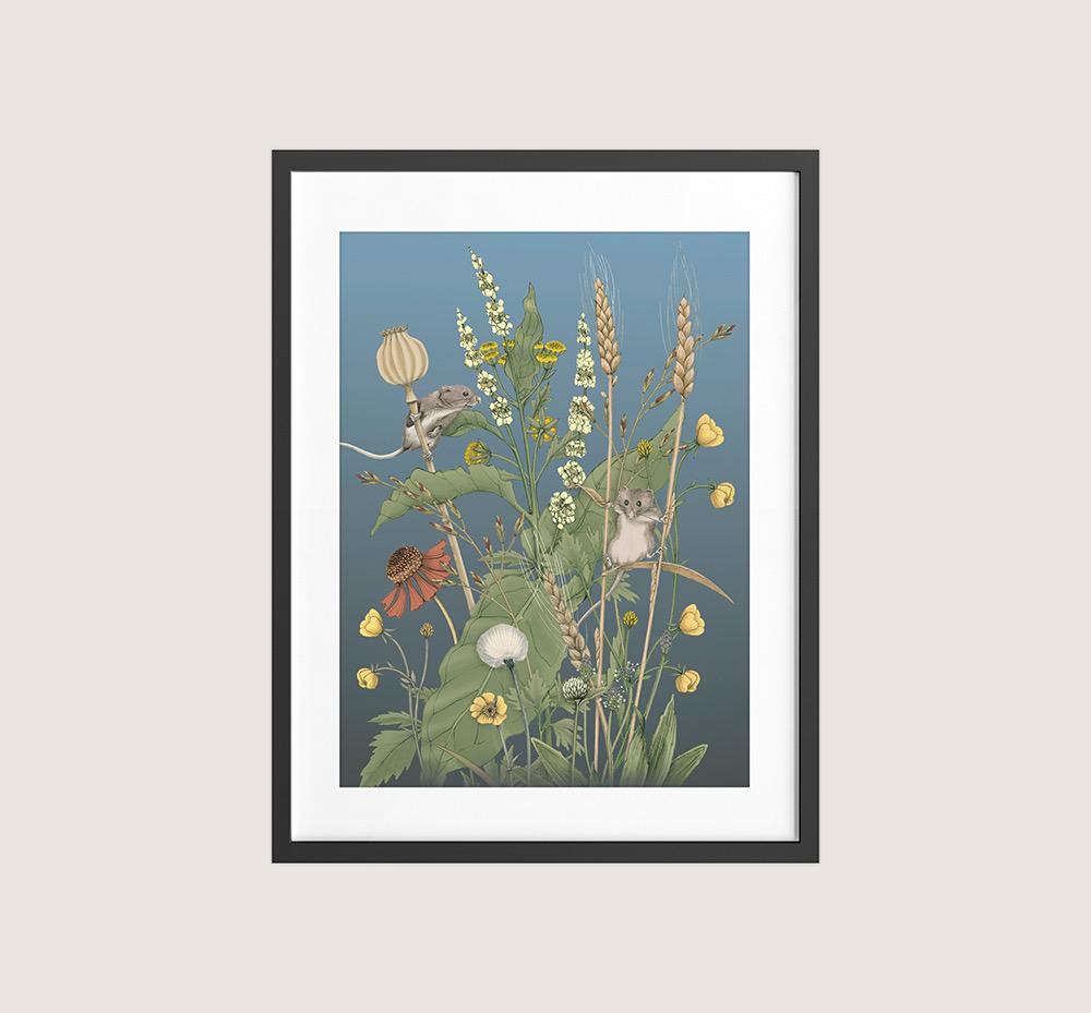 Fancey By Nature Catalogue 2023 by fanceybynature - Issuu