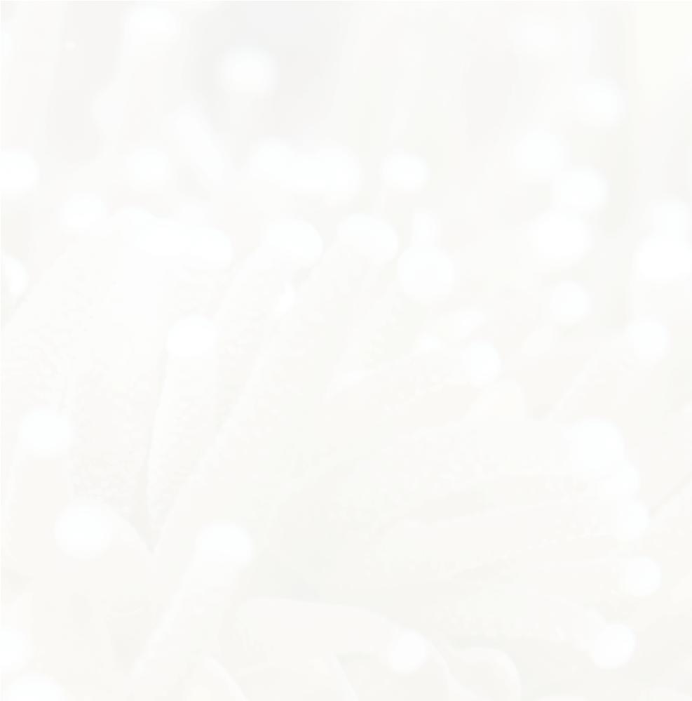 Los arrecifes de coral Guía educativa para maestros by Puerto Rico Sea ...