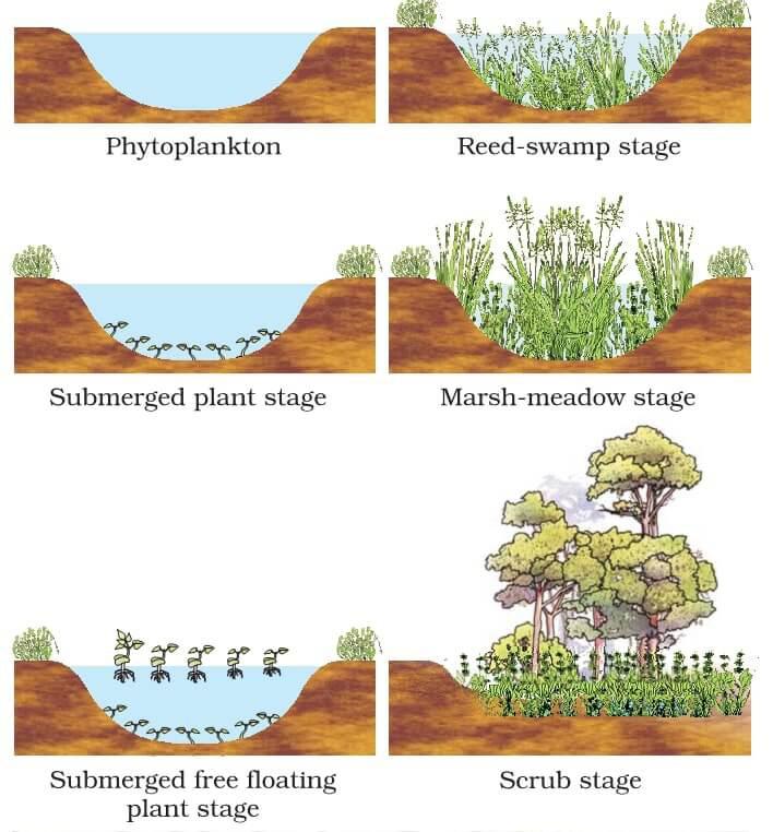 Principles On Responsible Inhabitation of Wetlands by HaydenC.Blodgett ...