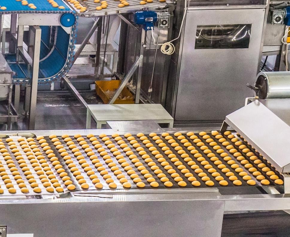 An Industrial Cake Manufacturing Guide (Eng) by Bakels Sweden - Issuu