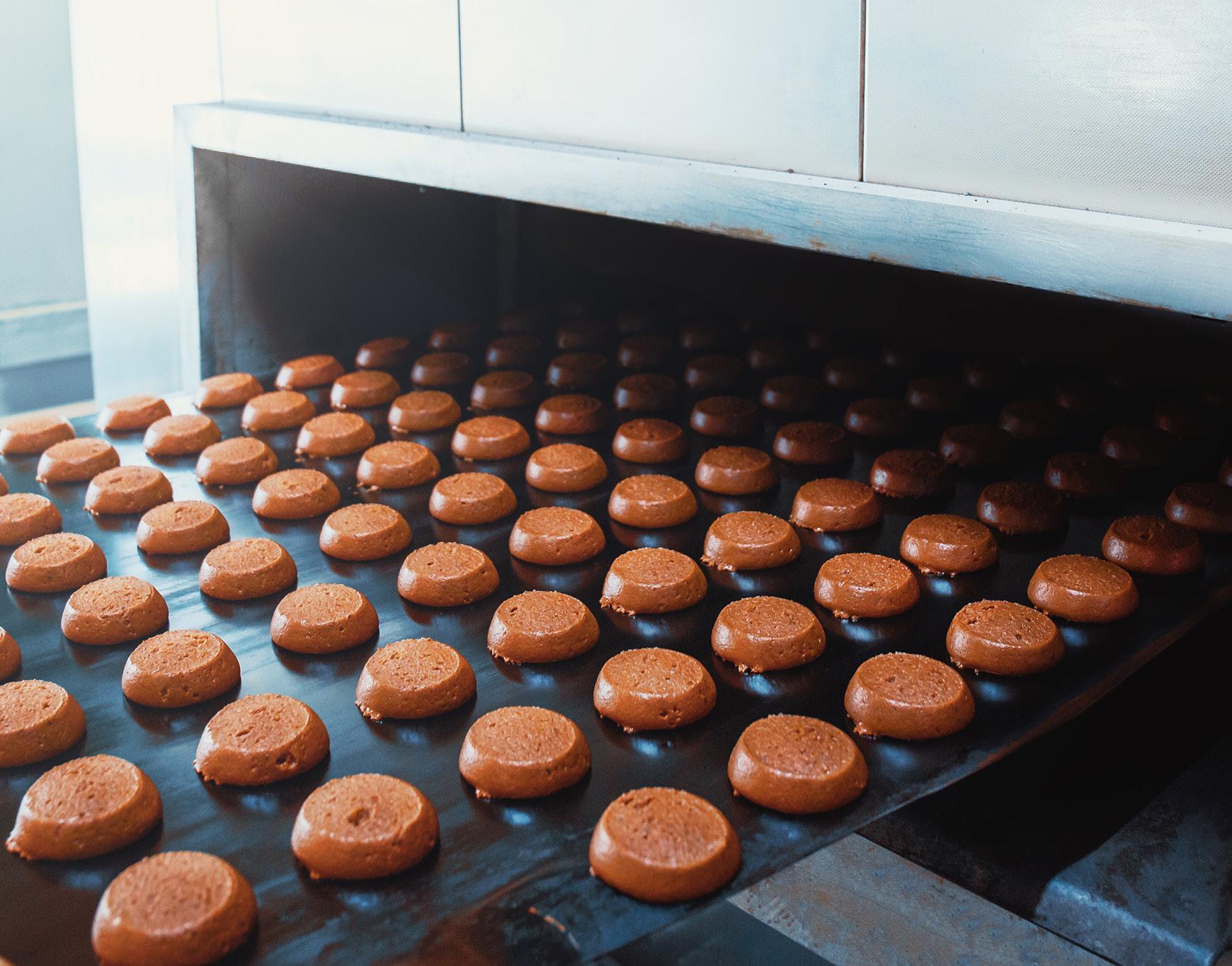 An Industrial Cake Manufacturing Guide (Eng) by Bakels Sweden - Issuu