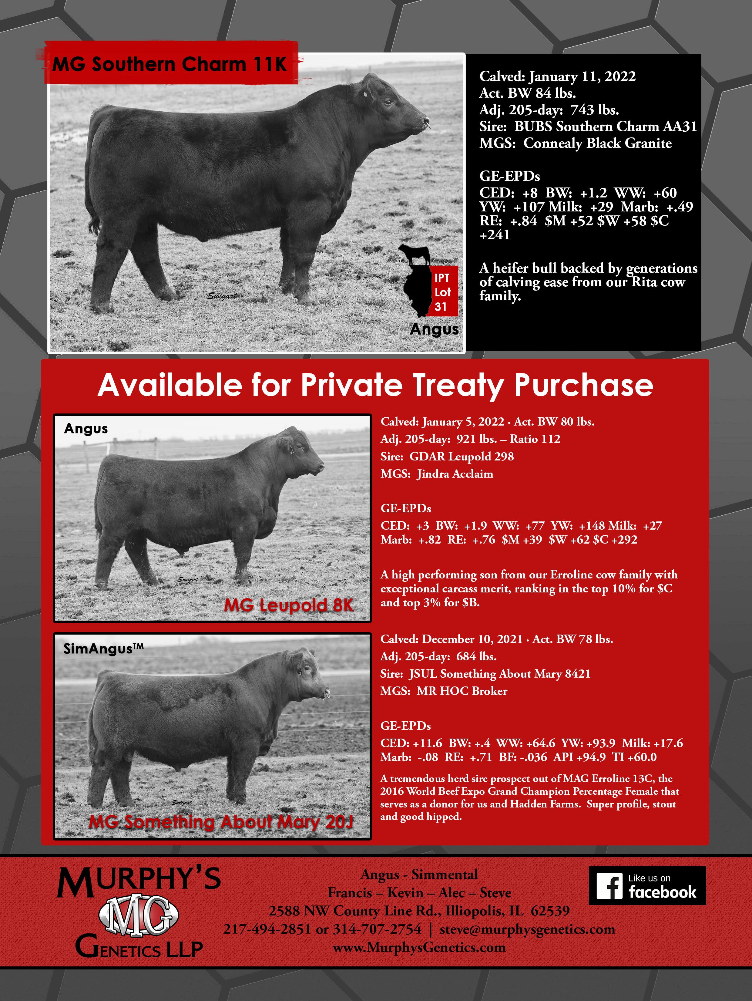 Illinois Beef January/February 2023 by Illinois Beef/Illinois Angus ...